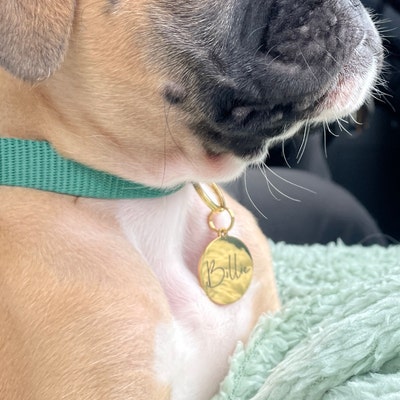 Personalized Gold Dog Tag With Crystals Dog Name Tag Dog - Etsy