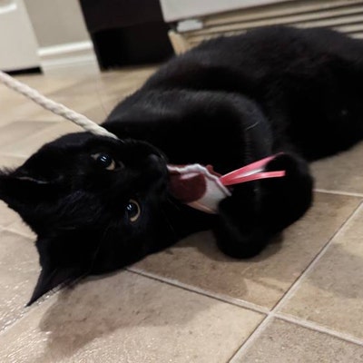 Cat Teaser Wand Cat Toy Star Cat Toys Wand Cute Cat Toys - Etsy