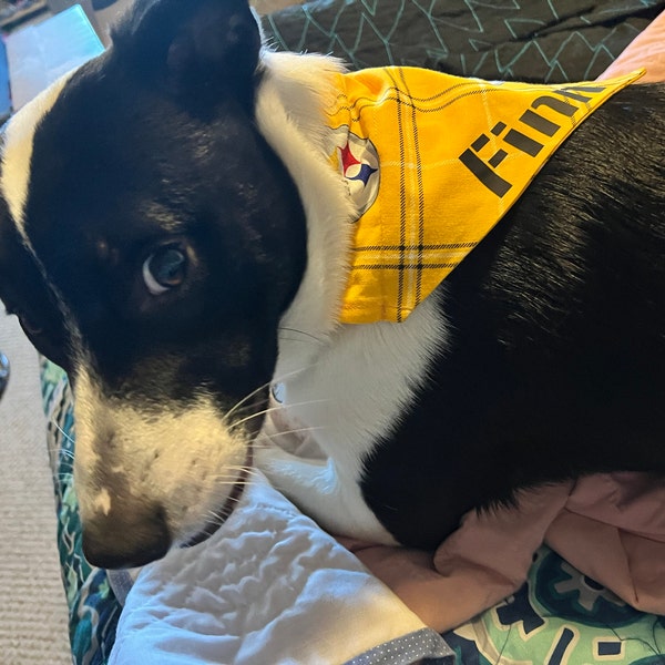 Spiderman Dog and Cat Bandana With Optional Personalization, Matching ...
