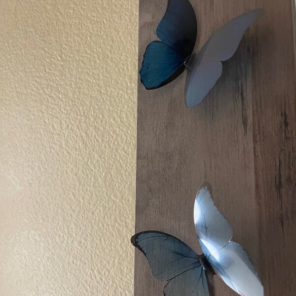 Blue Rainbow Decorative Butterflies - 3D Plastic Butterflies - Ombre ...