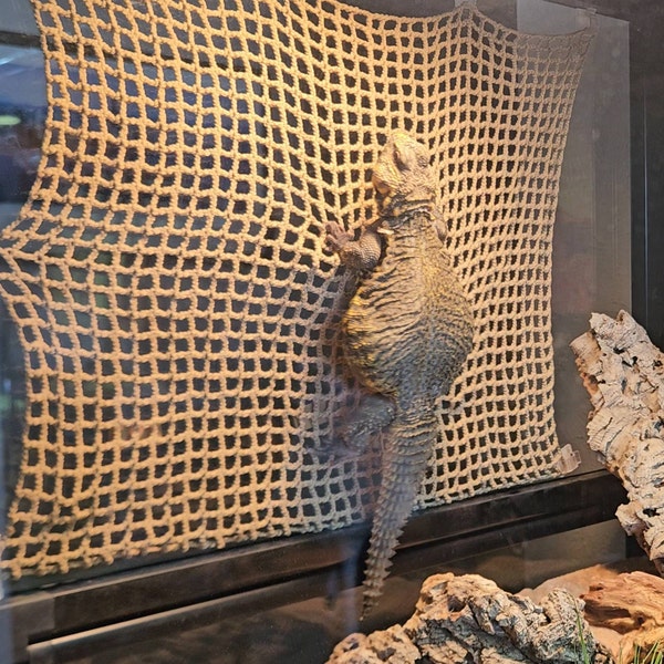 Reptile Climbable Wall | Climbing Wall for Reptiles | Reptile Climbable ...