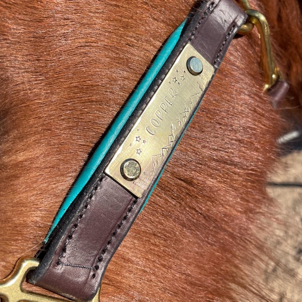 Custom Horse Halter Name Plate - Brass Halter Name Tag - Custom ...
