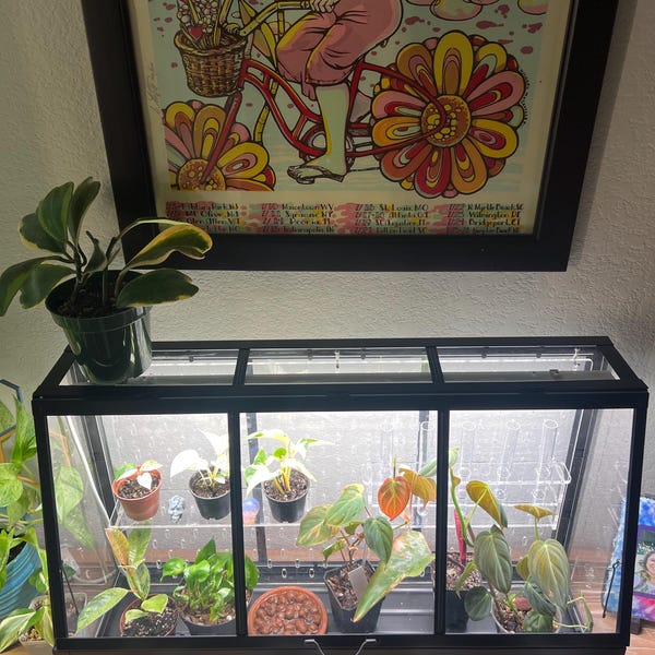 AKERBAR Desktop Greenhouse (25in) Pegboards and SKADIS Accessories for ...