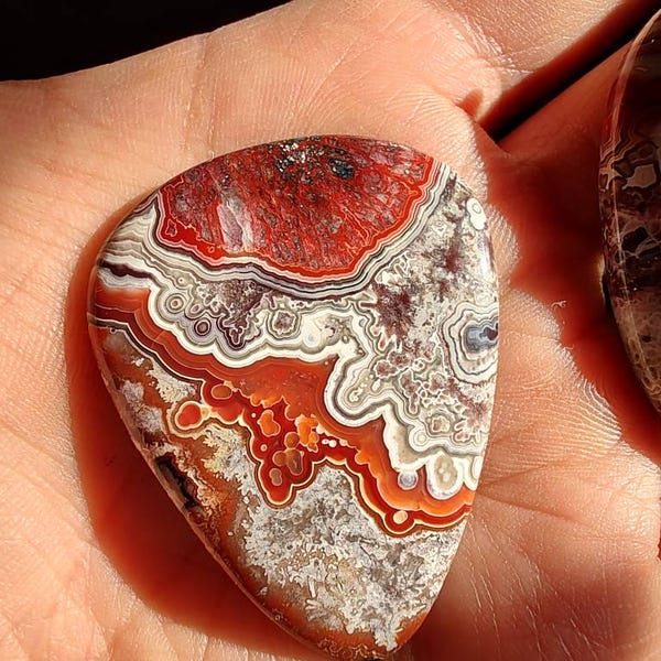 Fossil Druzy Slice 61 Ct. Natural 38mm Rare Ammonite Like Druzy Slice ...