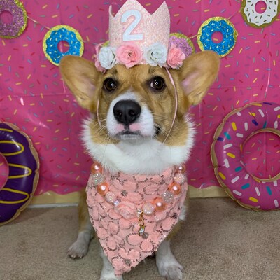Dog Birthday Crown, Pet Birthday Crown, Dog Crown, Girl Dog Birthday ...