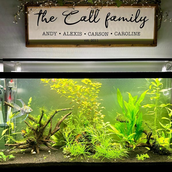 Finnex Stingray Original LED Light Riser, Attractive Stable Elevated ...