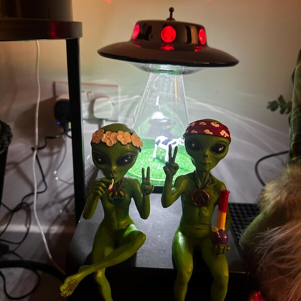 Hippie & Stoner Alien Invasion 10″ H Pot Smoking Alien Couple - Etsy