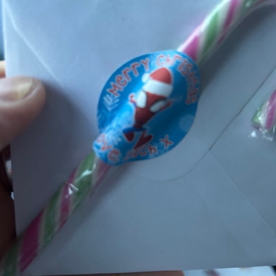 15 Bluey and Bingo Themed Personalised Party Bag Stickers Thank You for ...