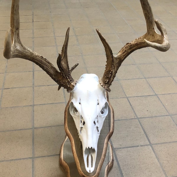 Barnwood European Table Mount - Etsy