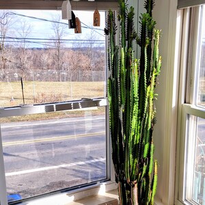 Kinetic Mobile 28 Eucalyptus Cream & Forest Green - Etsy