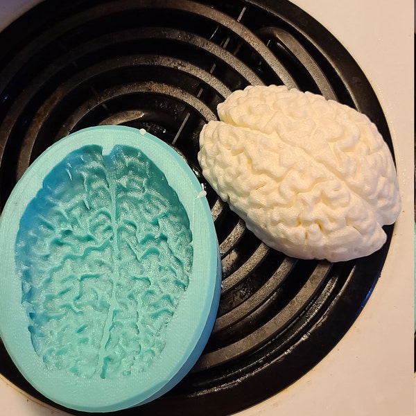Human Brain Plastic Mold or Silicone Mold, Resin Mold, Brain Mold, Clay ...