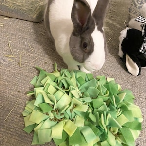 Bunny Rabbit Snuffle Mat, Foraging Blanket, Stimulation Treat Toy ...
