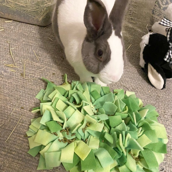 Bunny Rabbit Snuffle Mat: Foraging Enrichment Toy - Etsy