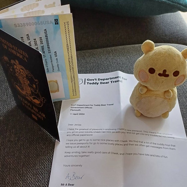 Personalised American Teddy Bear Passport: Custom Photo Travel ...