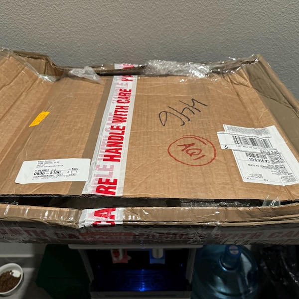 Pampas and Neon Sign: Dried Flower Salon Wall Decor, Wedding ...