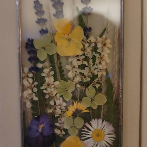 Original Artwork Real Flower in Frame, Botanical Art, Large Pressed ...