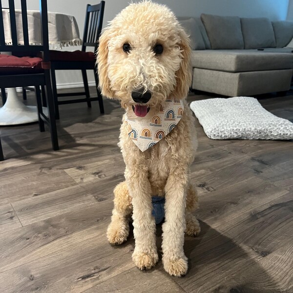Free Sloppy Kisses Dog Bandana Cute Vintage Candy Canes and Mistletoes ...