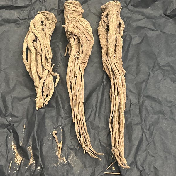 Master Root Oil - A Hoodoo Traditional Oil for Mastery Over All Things ...