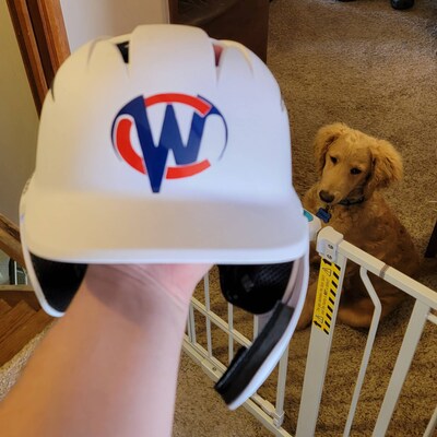 Pavement Princess Vinyl Sticker Decal Great for Cars Trucks - Etsy