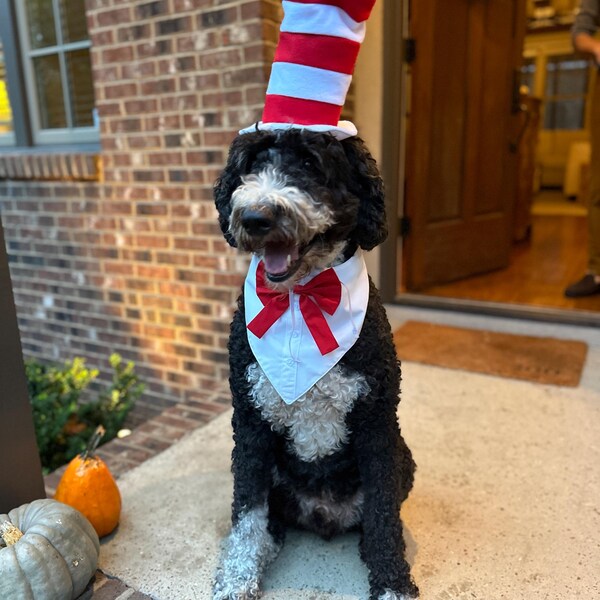 Dog Graduation Cap and Gown, Cat Graduation Cap and Gown, Pet ...