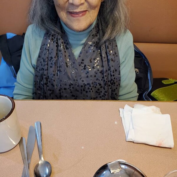 Dignified Adult Bib, Napkin at Your Neck, Stain Resistant, Machine ...