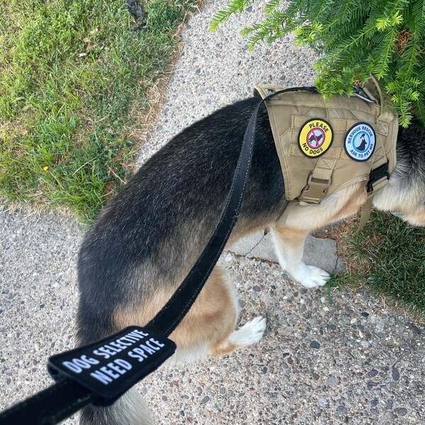 Nervous Dog Patch | Ask to Pet Patch | Dog Vest Patches | Hook Fastener ...