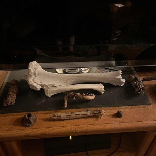 Skull/bone Dream-catcher/chime With Feathers - Ceremonial Piece Voodoo ...