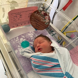 Butterfly Milestone Cards Baby Milestone Butterfly Discs - Etsy