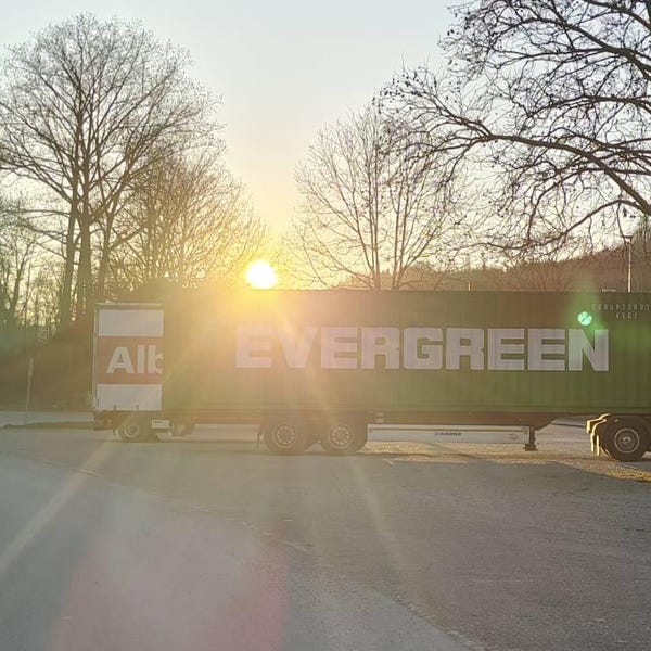 Note Pad A5 -50 Sheets- White Moth --> Pixie Cold Design - Etsy