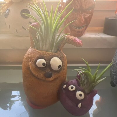 Neglecta Mini Air Plants Tillandsia, Air Plant, Indoor Plant, House ...