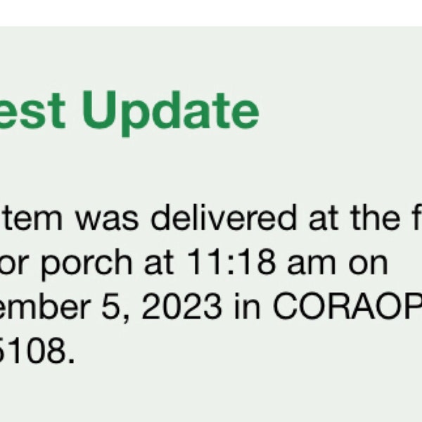 Reproduction WW2 Italian MVSN General Cap Eagle.type 4 - Etsy