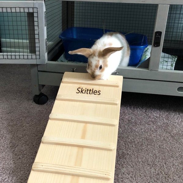 Rabbit Ramp With SIDES Option 14lb 5.5-11.25 Inches Wide 10-70 Long Rex ...