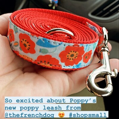 Poppy Dog Collar, Harness or Leash With Personalized Metal Buckle ...