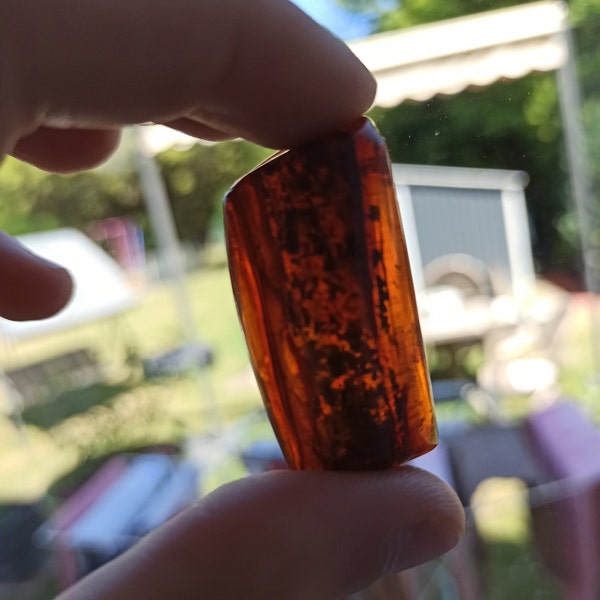 11 Gram Natural and Genuine Baltic Sea Amber Specimen Healing Amber ...