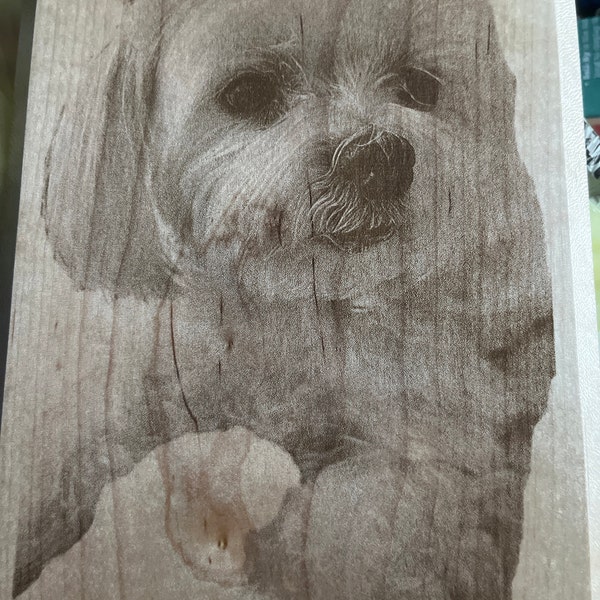 Coffee Laser Cut & Engraved Wood Magnet Collection - Etsy