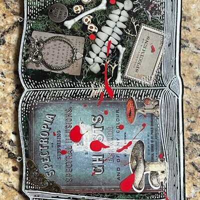 Found Objects Skeleton Figure Vignette Shelf Collage Art Vintage Art ...