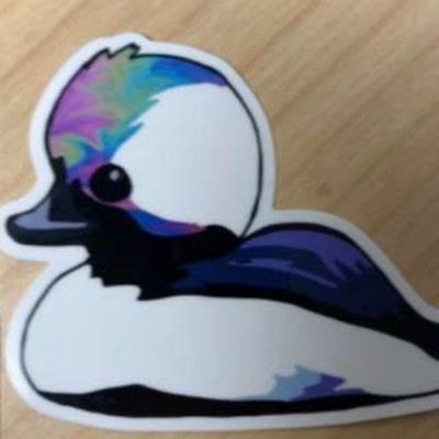 Im Fast as F Boi Blue Wing Teal Duck Sticker - Etsy
