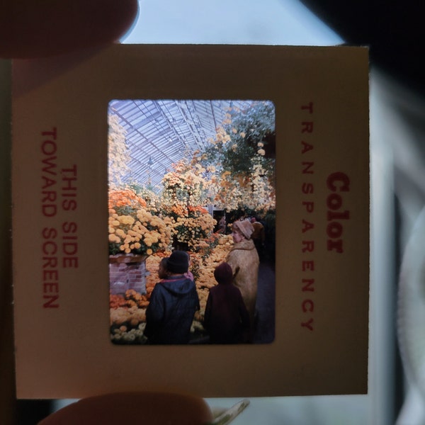 100 Vintage 35mm Slides in Cardboard Frames - Vintage Photo Slides ...