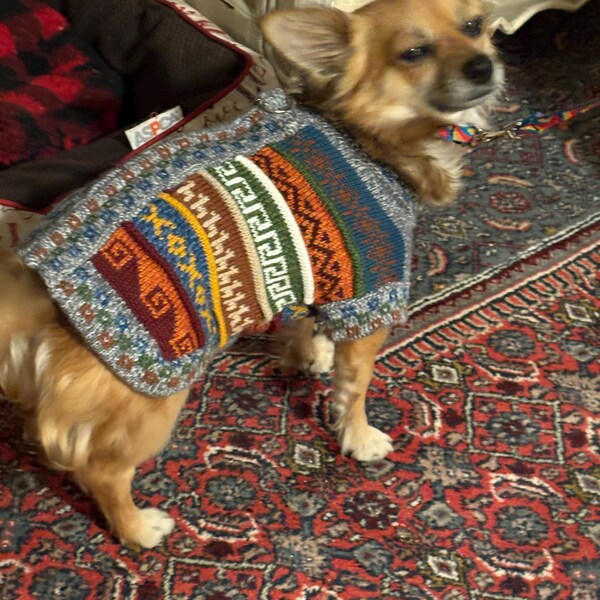 Cusco Alpaca Dog Sweater– Handmade of Baby Alpaca, Luxury Small Dog ...