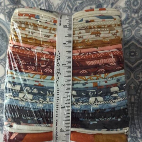 Fruit Loop Layer Cake by Basicgrey for Moda Fabrics 30730LC 42 10 Fabric Squares - Etsy