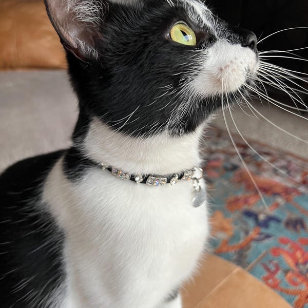 Christmas Cat Collar, Gingerbread Holiday Cat Collar, Winter Snowflake ...