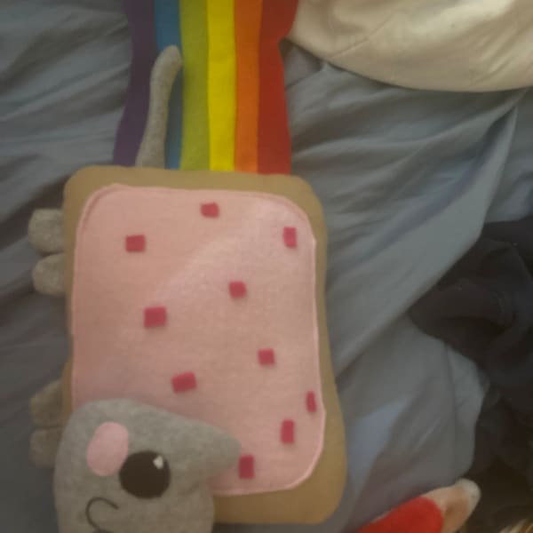 Giant Nyan Cat Plush Pillow | Personalized Plush, Embroider Name Plush ...
