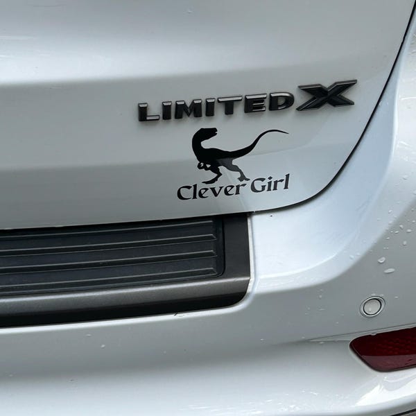 STATIC Slammed Lowered Decal Sticker - Vinyl Graphic, Car Gift, Stance ...
