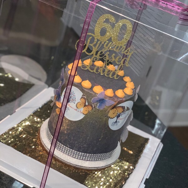 5 Sets 14l X 14w X 16h Extra Large and Tall Clear Cake Box With Free ...