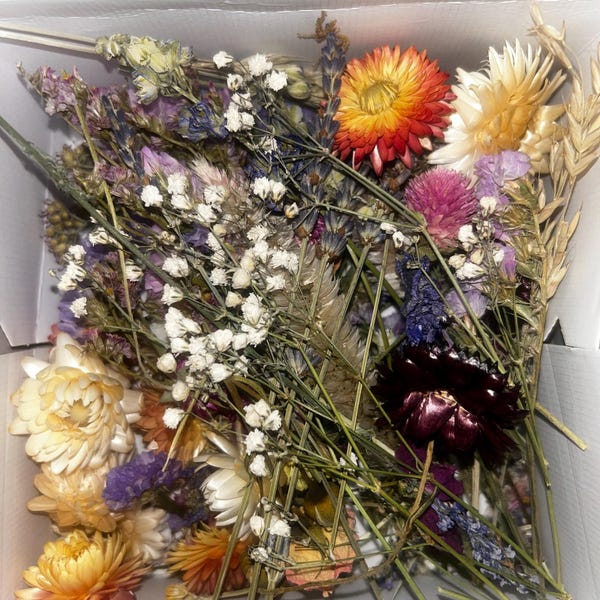 Dried Wildflower Style Mix | Flowers for Crafting, Cakes and Decor - Etsy