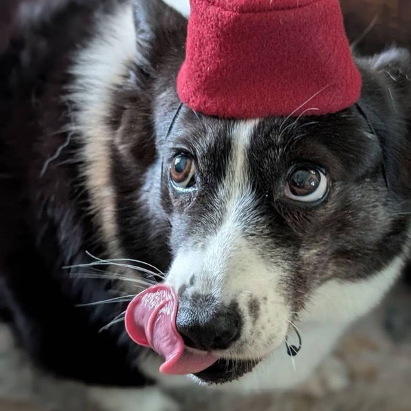Fez Hat Mini Small Pet Cat Dog Hedgehog Vogue Guinea Pig Ferret Rabbit ...