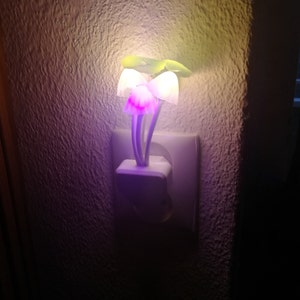 Small Nature Spirit Shelf With Live Edge | Etsy