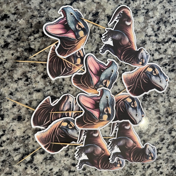 Edgar Allen Poe Cupcake Toppers, Party Food Picks, 12 Pack KIT, Poe ...