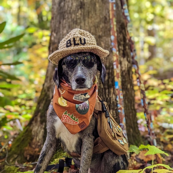 Park Ranger Hat - Park Ranger Costume - Ranger Hat - Ranger Baby ...