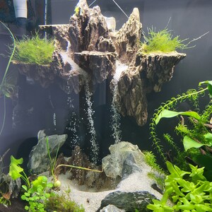 2-4 Gallon Nano Aquascape Decor SOUL CANYON Aquarium Dragon Rocks ...